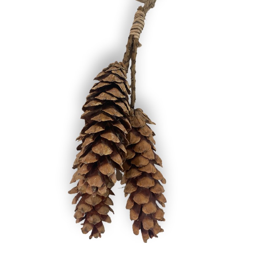 NATURE PENDANT PINE CONE ON STEM LARGE - IEMS